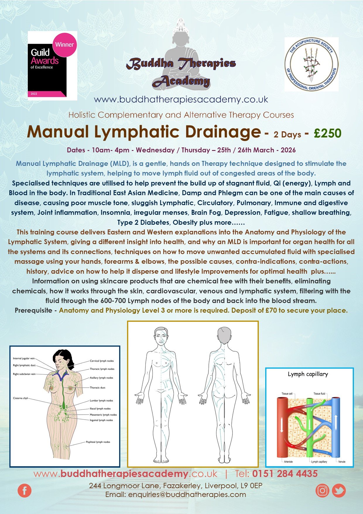 Manual Lymphatic Drainage (MLD) - Buddha therapies academy